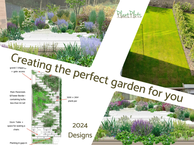 Garden Design Layout