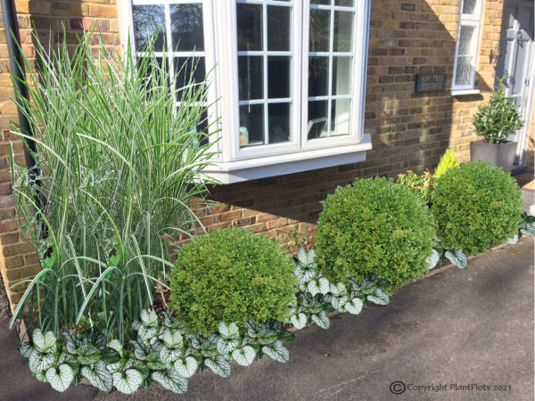 Fab Fronts for Shade 3 - PlantPlots