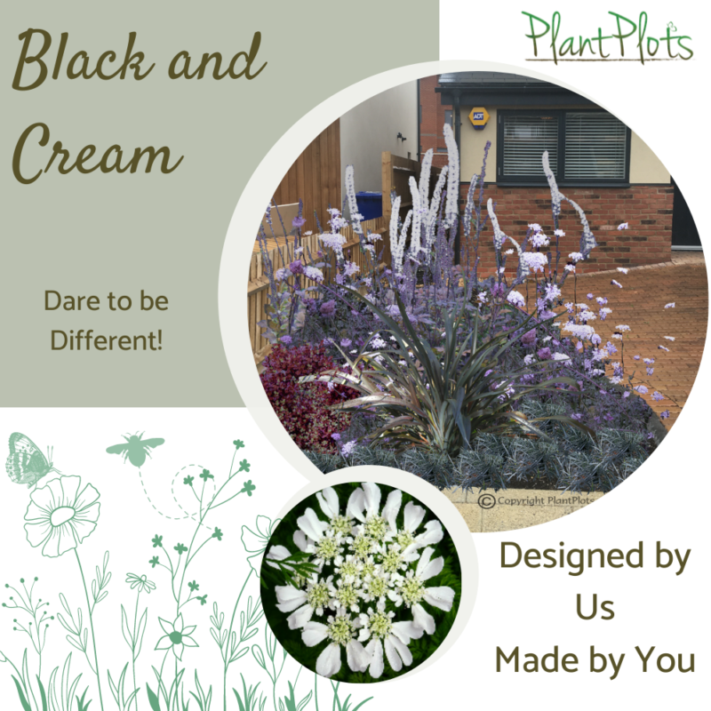 How to choose a garden colour scheme