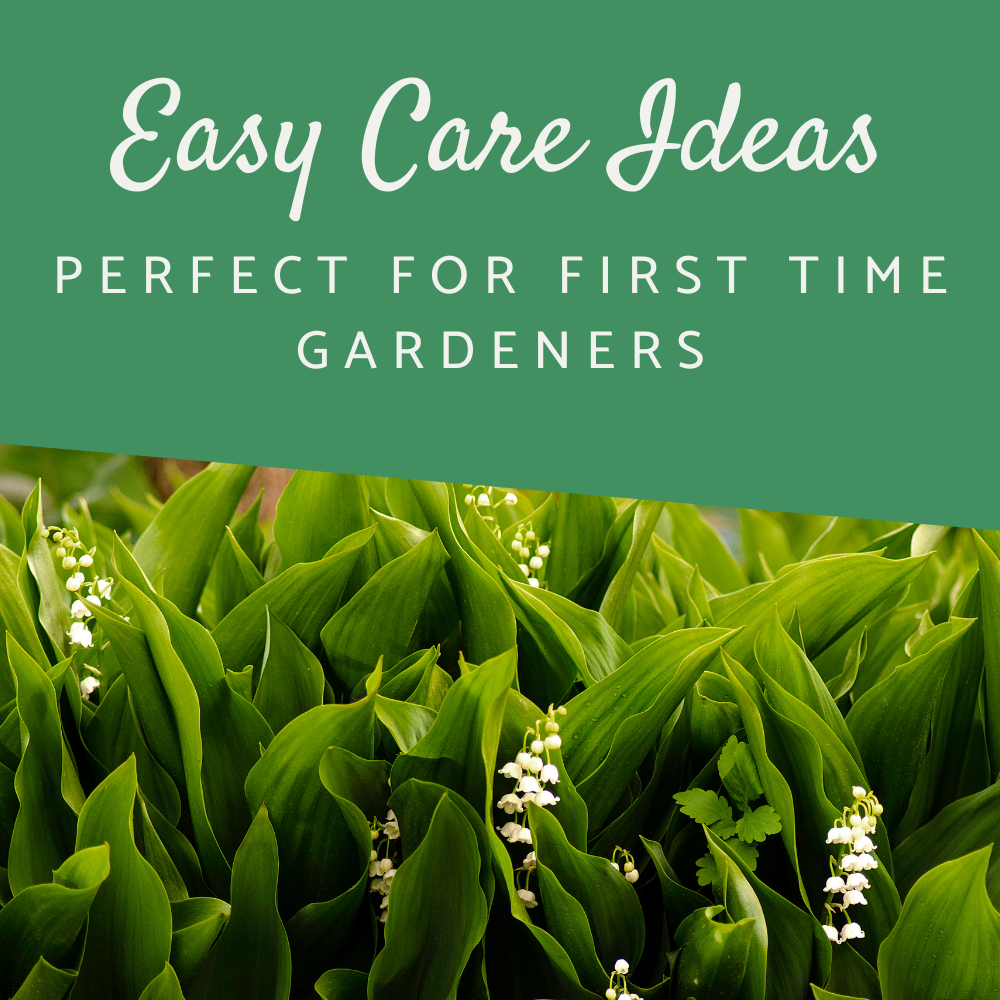 7 Simple Rules of Garden Design