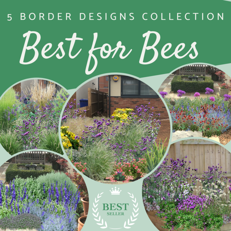 How To Choose A Garden Colour Scheme how-to-choose-a-garden-colour-scheme