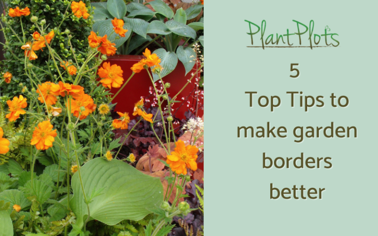 5 Top Tips to Make Garden Borders Better - PlantPlots