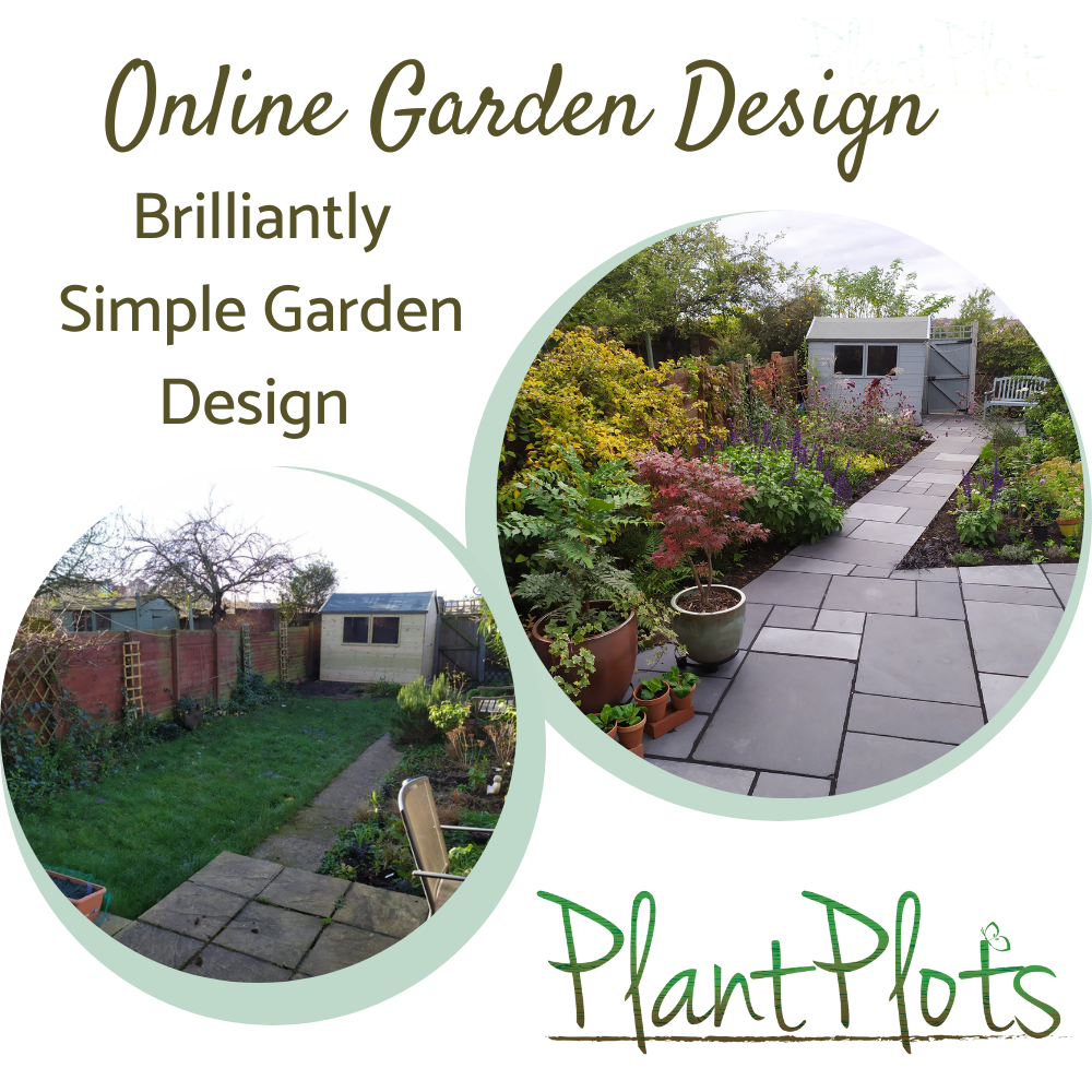 Professional Garden Design Service by Rachel at PlantPlots