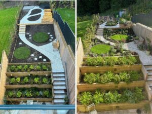 Bespoke Garden Design Portfolio from PlantPlots